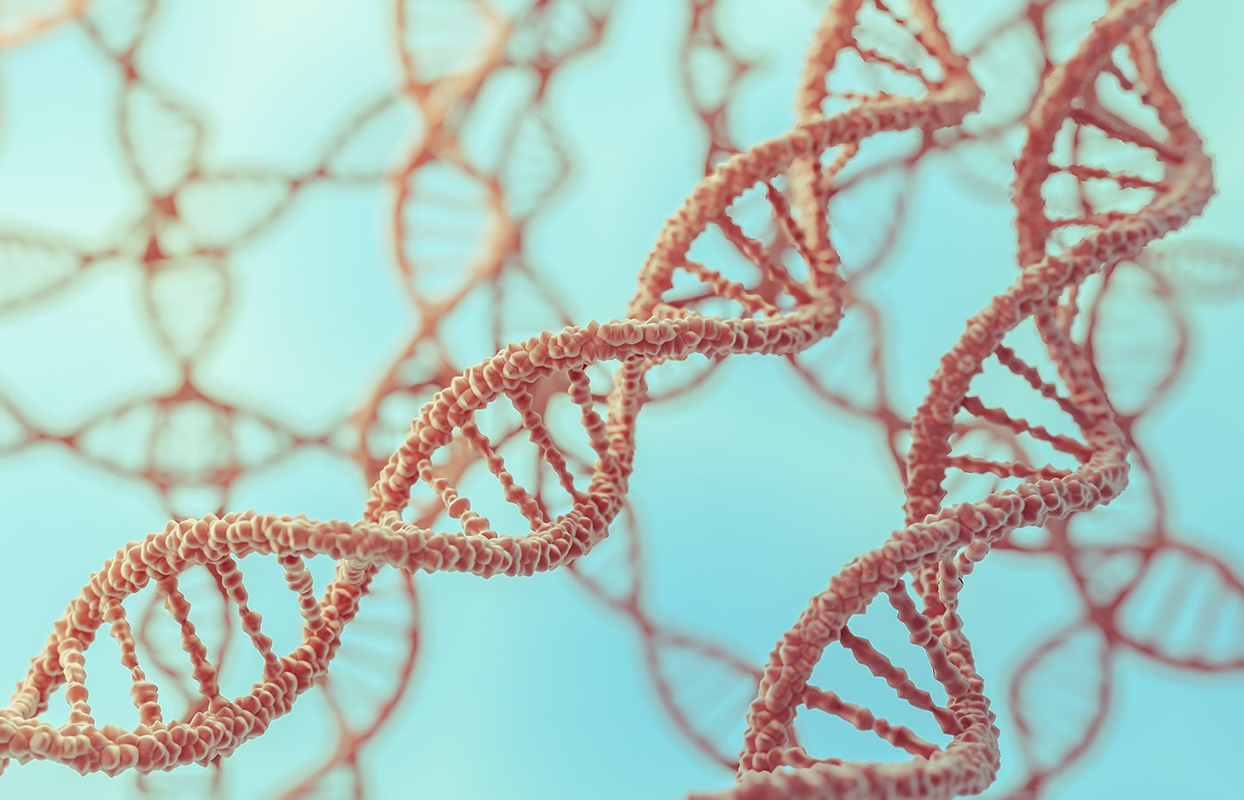 About us - Genetrace